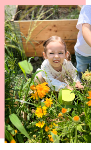 Capire - Comunidad de Aprendizaje